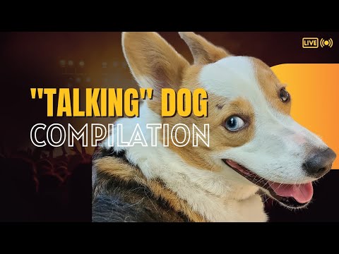 The Magic of Monotony in Augmentative Interspecies Communication