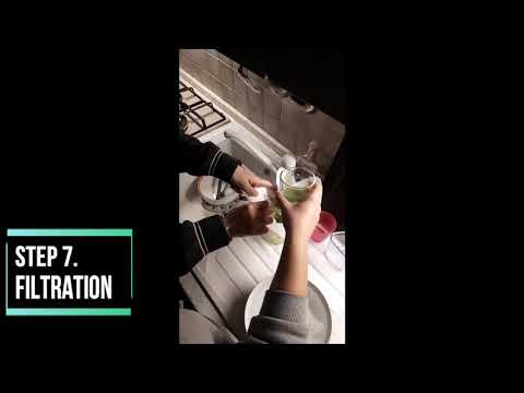 Kiwi's DNA