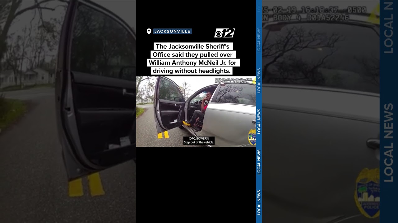 Sheriff backs officer punching driver during Florida traffic stop