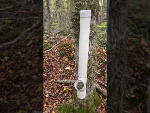 Best Cheap Deer Feeders