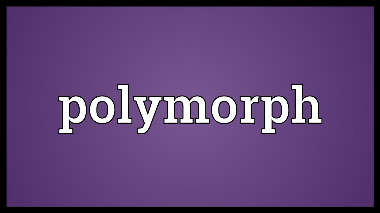 Polymorph Meaning