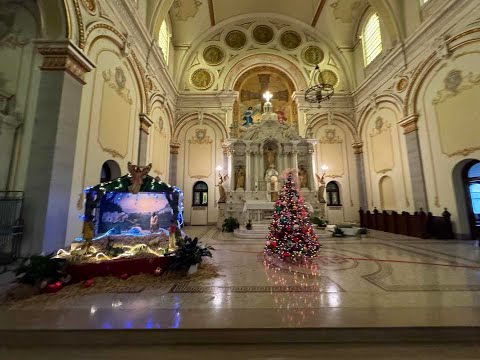 Mass: The Nativity of Our Lord with Fr. David Pruess