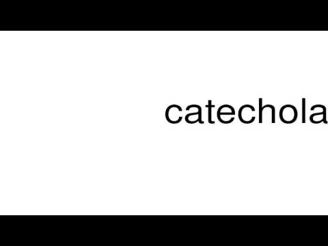 How to pronounce catecholamines