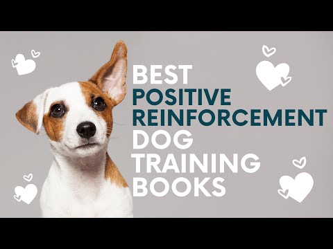 Best Positive Reinforcement Dog Training Books