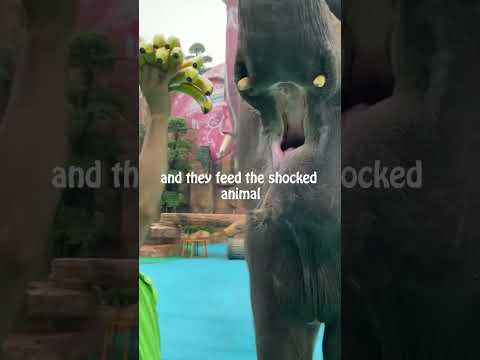 The cruel method used to domesticate elephants
