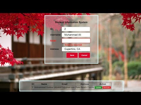 Learn Javascript Form Validation using Javascript Objects Objects in Javascript - Mind Luster