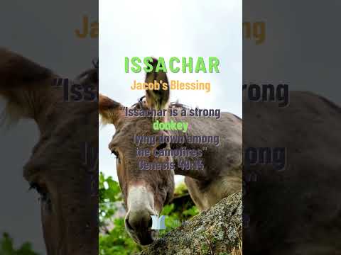 The Twelve Tribes of Israel - Issacher