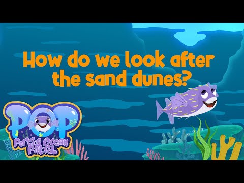 POP: How do we look after our sand dunes? | kids science and HASS education