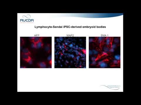 "Induced pluripoint stem cells as models of human genetic diversity and disease"