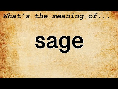 Sage Meaning : Definition of Sage