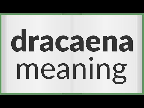 Dracaena | meaning of Dracaena