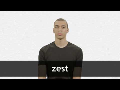 ZEST definition in American English | Collins English Dictionary