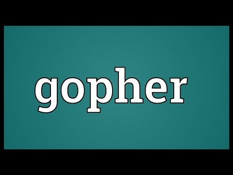 Gopher Meaning