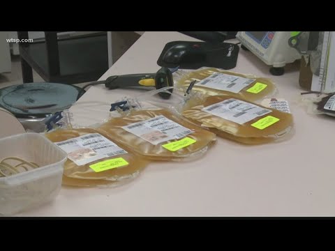 COVID-19 survivor to donate plasma to help those still battling the virus