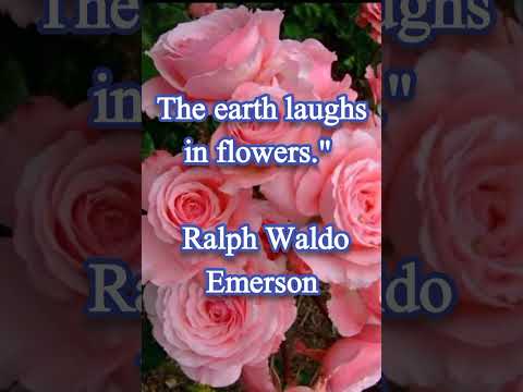 Ralph waldo Emerson quote about flowers