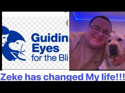 My Guide Dog Training experience with Guiding Eyes For The Blind!