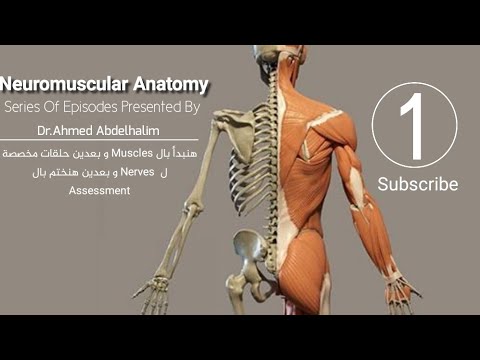 1st Episode ( Neuromuscloskeletal anatomy ) 1st Part Ms