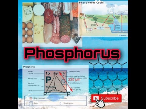 PHOSPHORUS 15th Element in Periodic Table.
