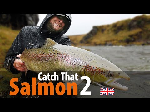Catch That Salmon 2
