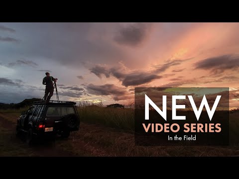 New Photo Travel Series!