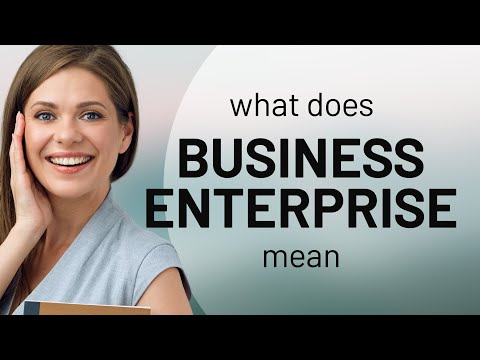 Business enterprise — BUSINESS ENTERPRISE meaning