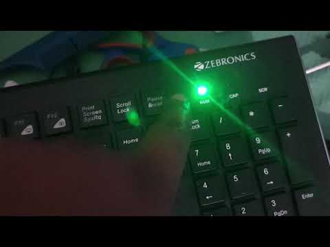 Zebronics Slim Keyboard | Computer/Laptop | ZEB-DLK01 | Num Lock Caps Lock Scroll Lock Light