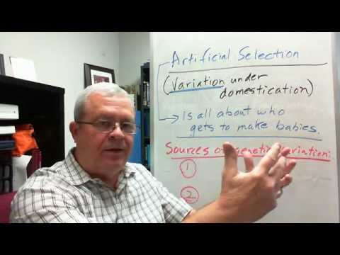 Artificial selection