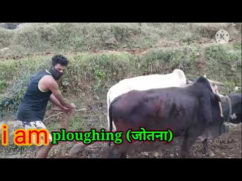 ploughing mean/ in a short video/ what is ploughing??