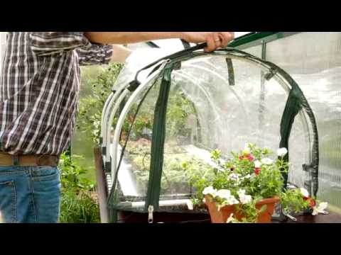 Bio Green Jumbo Propagator - Keen Gardener