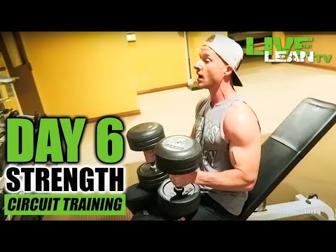 Workout #4: Strength Circuits | Body Recomposition Workout Plan