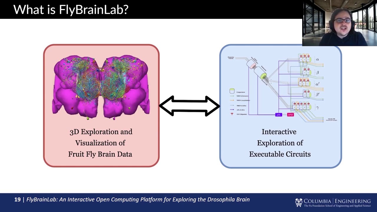 Mehmet Kerem- FlyBrainLab: An Interactive Open Computing | PyData Global 2020