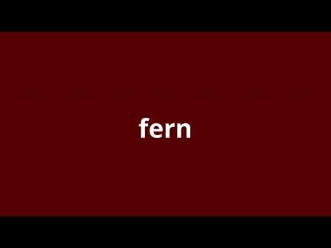 what is the meaning of fern