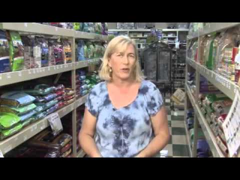 How to Select a Dog Food in the Pet Supply Store Whole Dog Journal
