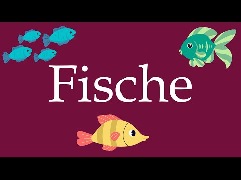 How to Pronounce ''Fische'' (Fish) Correctly in German