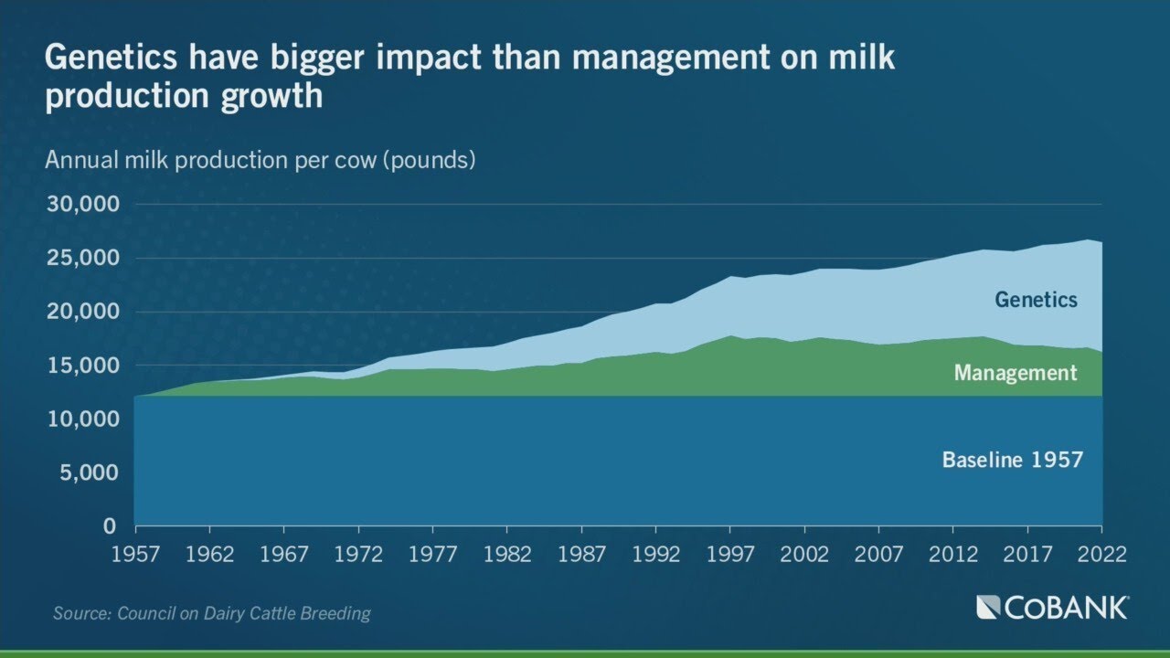 Genetics role in boosting milk production and components