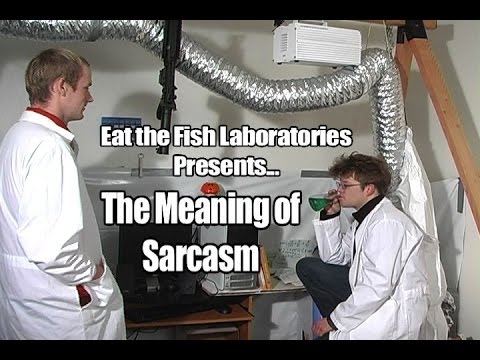 The Meaning of Sarcasm
