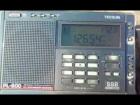 12654 kHz TAH Turk Radio Istanbul CW marker