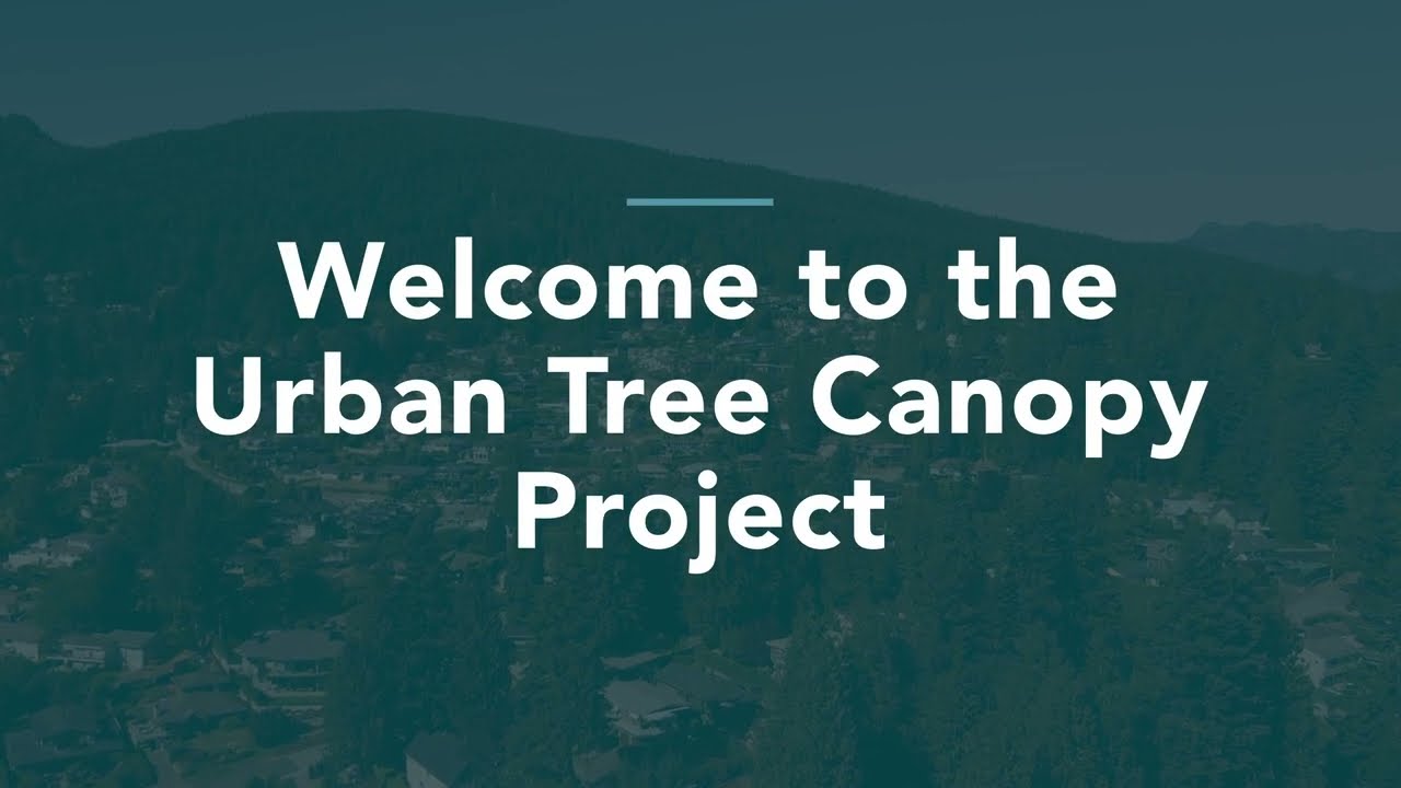 Welcome to the Urban Tree Canopy project