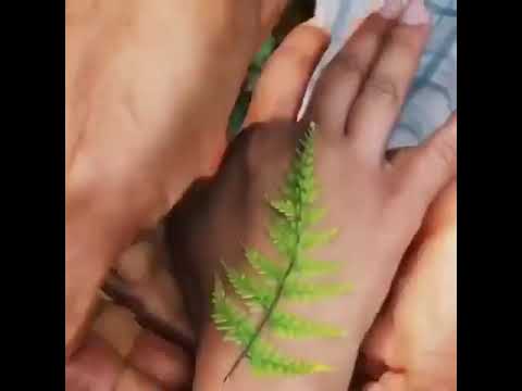 Nature tattoo#fern#leaf