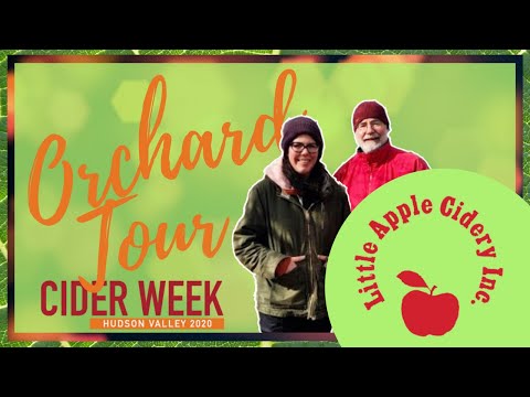 LIVE REPLAY_ORCHARD TOUR: Little Apple Cidery
