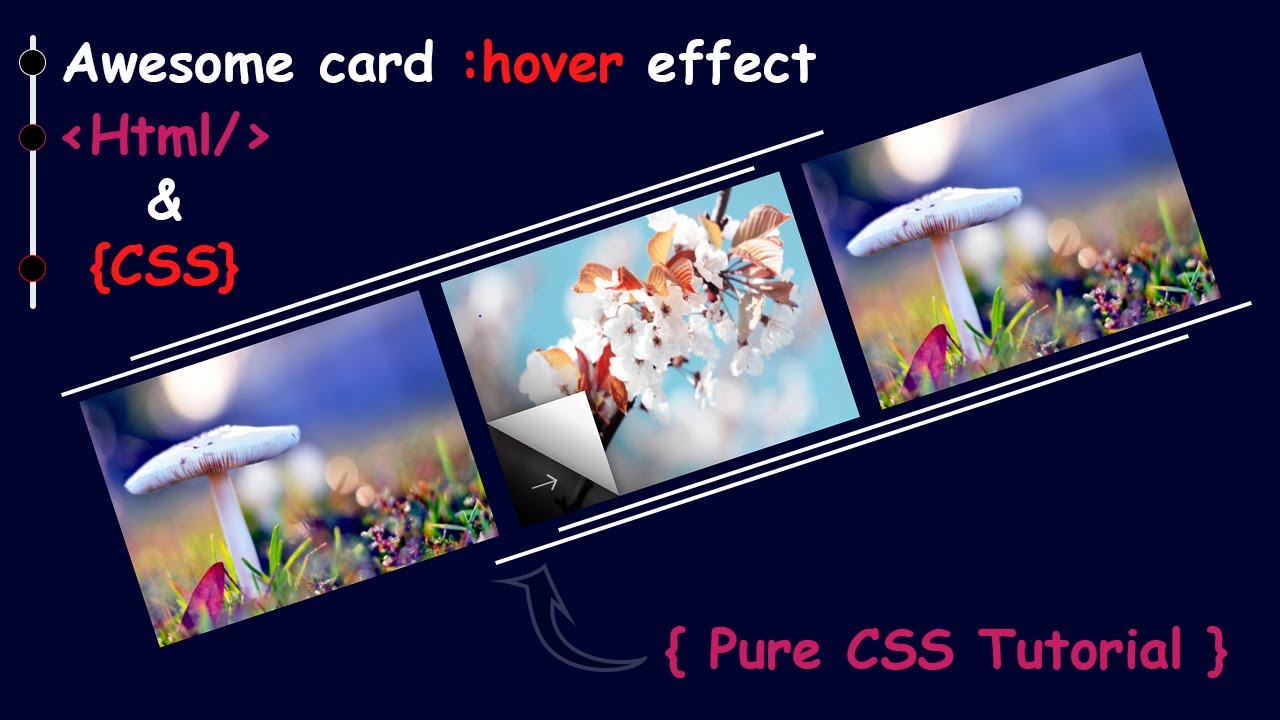 CSS Card Hover Effects -- Pure css tutorial  |Web Tutorials