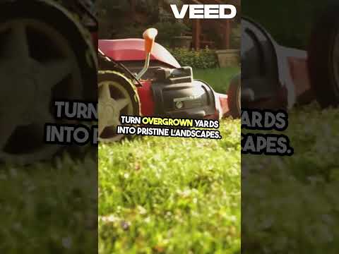 ๐ฅ Solo Lawn Care Op! By Any Means Necessary! ๐๐ฟ #lawncarebusinesssuccess #lawncare