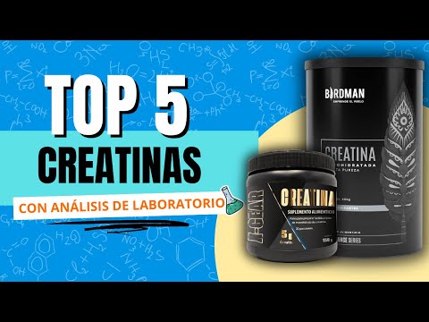 MORE ECONOMICAL CREATINES 🤑 (with laboratory analysis) 🔬 🔍