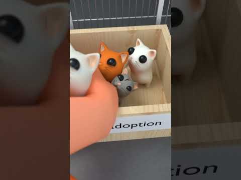 Kitty adoption shelter๐ฟ๐ #animation #adoption #cats