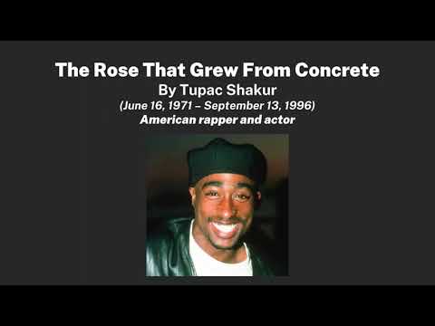 Poem - The Rose That Grew From Concrete by Tupac Shakur - Read Along