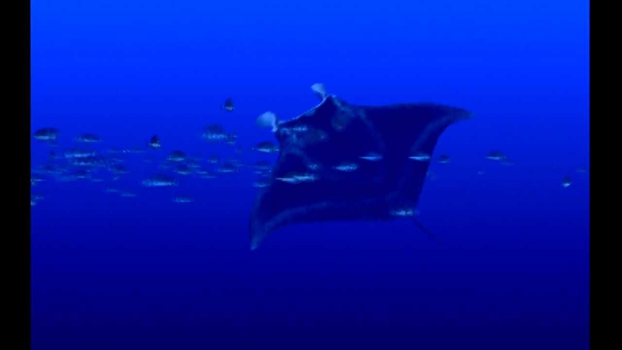 Manta Tech Demo 1 Playstation 1 HD