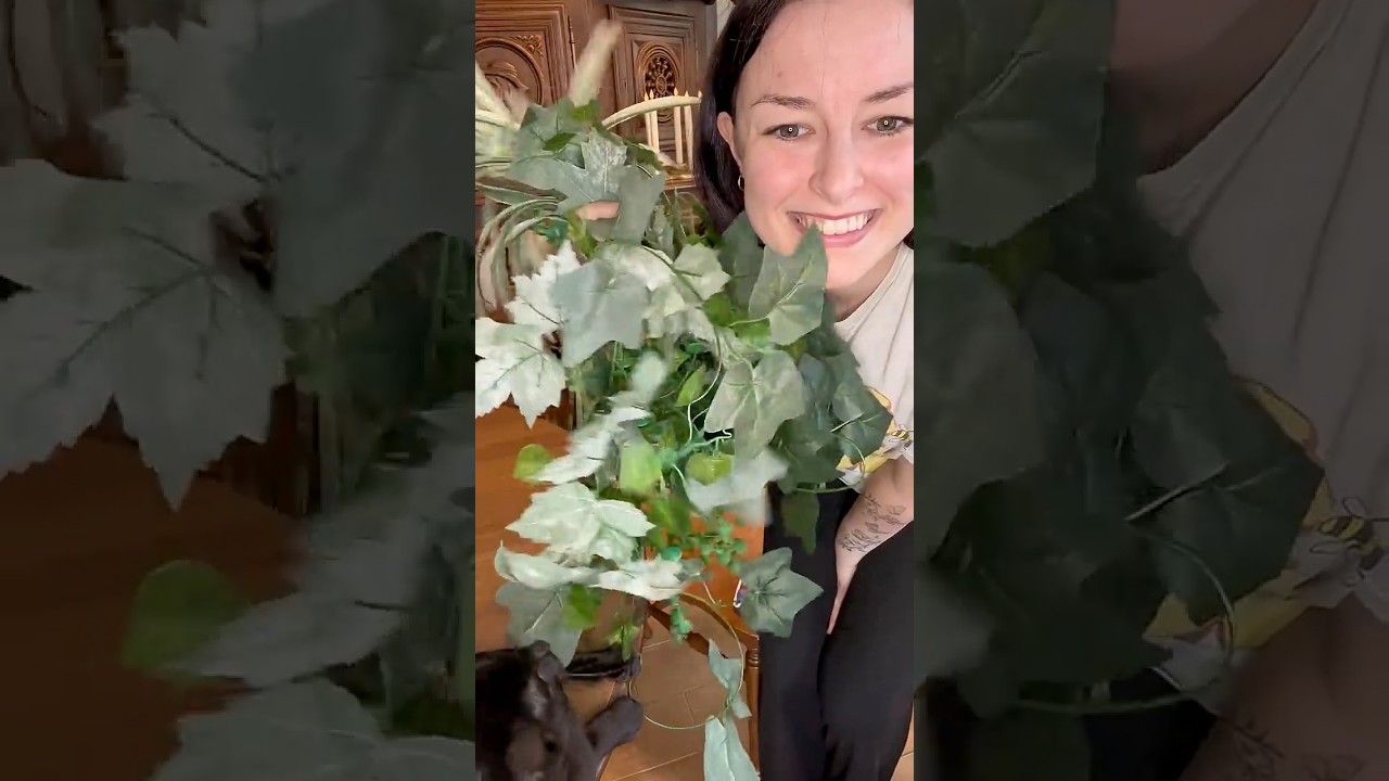 Cheap decor for My Ball Python’s Tank 🐍💸 #ballpython #snake #reptile #pet #petcare