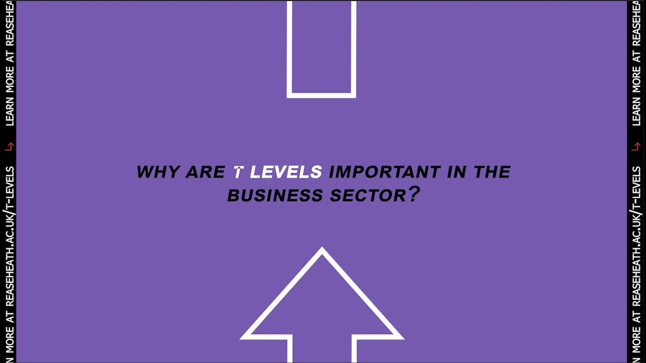 Why are T Levels important in the business sector?