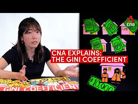 What is the Gini coefficient, and what is it used for? | CNA Explains