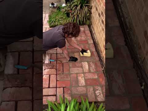 Grouting brick paving. #landscaping #diy